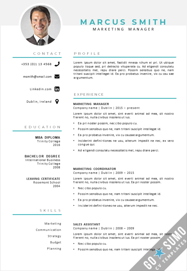 CV Template Dublin - Word CV Template GoSumo